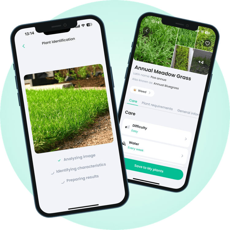 PlantIn Lawn Care App