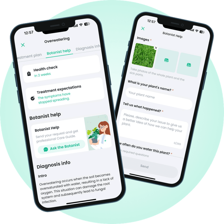 PlantIn Lawn Care App