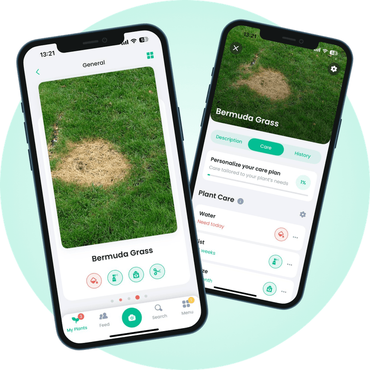 PlantIn Lawn Care App