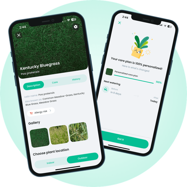 Weed Identification in the PlantIn App (iOS, Android & Web)
