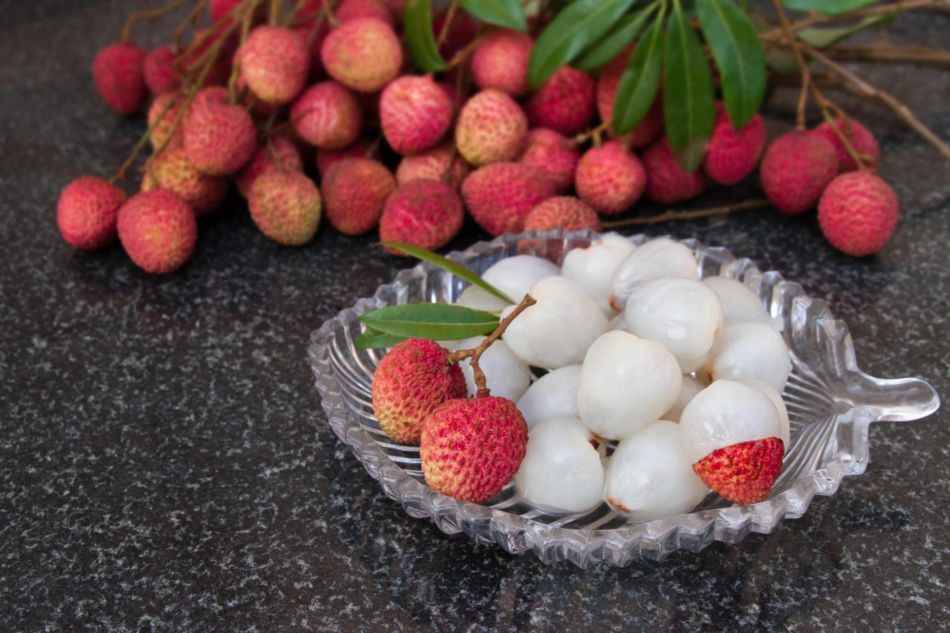 How to Grow Lychee From Seed - Plant Growing & Trees Care Instructions