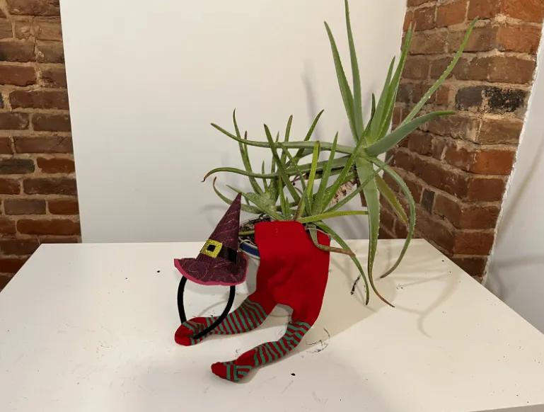 10+ Halloween Planter Ideas – Easy In & Outdoor DIY Decor