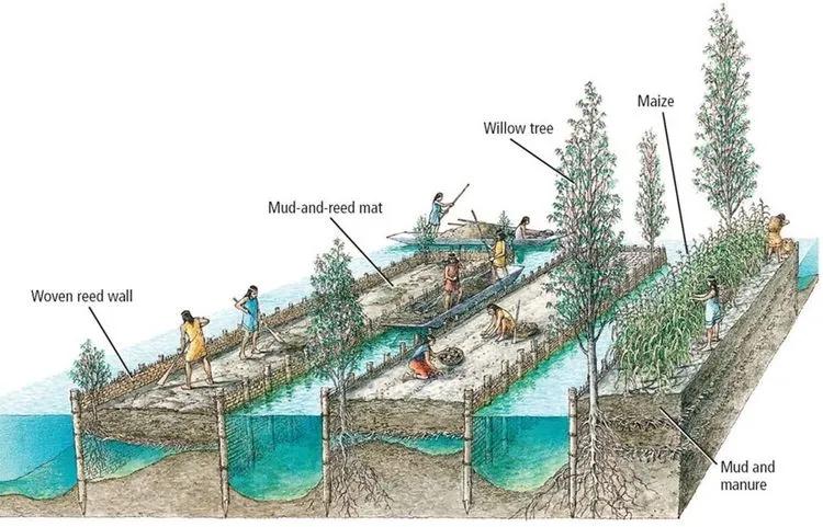 Floating Gardens Of The Aztecs Mexico | Fasci Garden