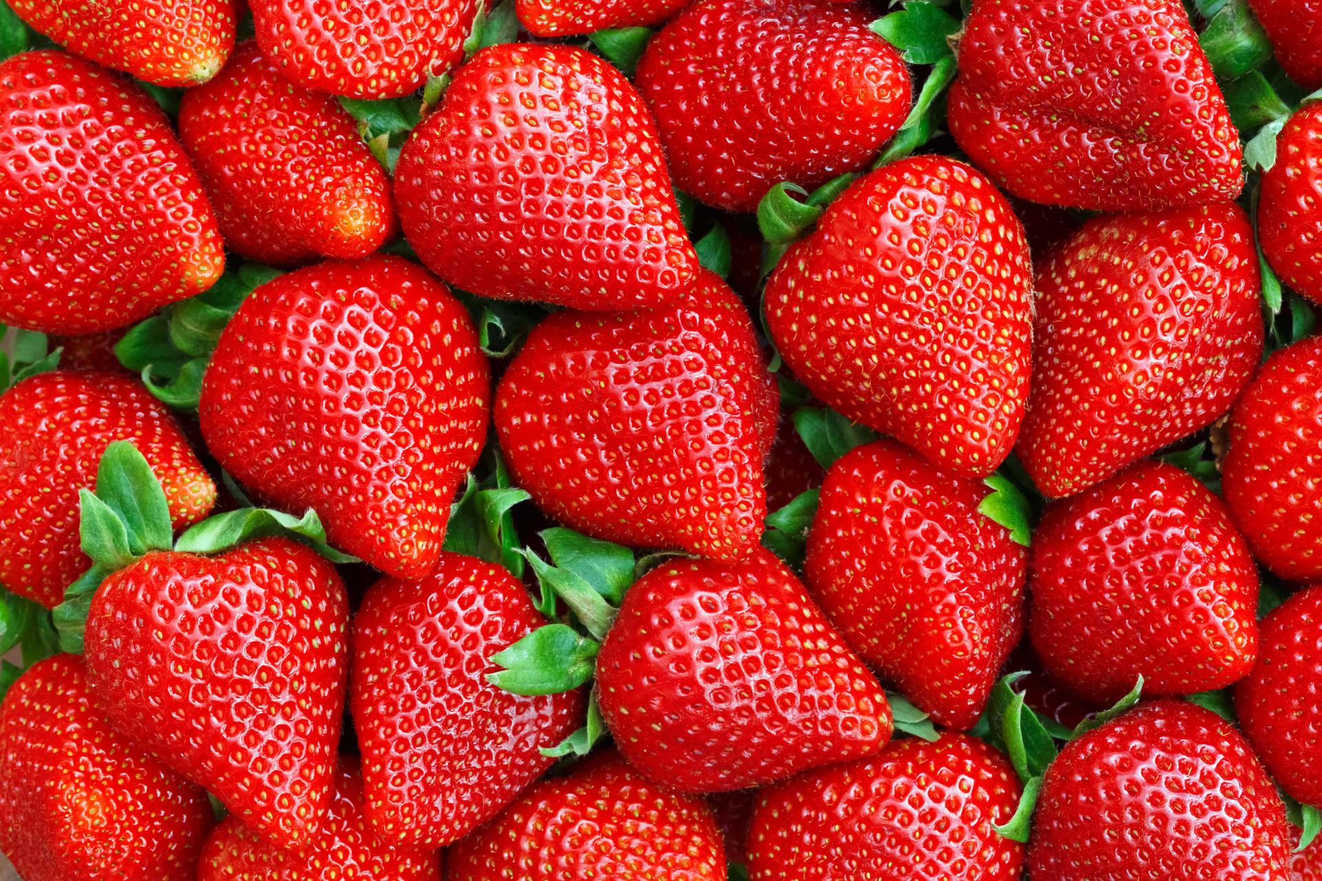 How Long Do Strawberries Take to Grow - Seeds Planting & Growing Tips